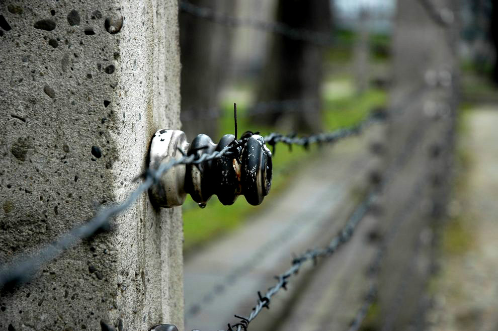 Auschwitz Foto & Bild | reportage dokumentation, zeit geschichte, shoa ...