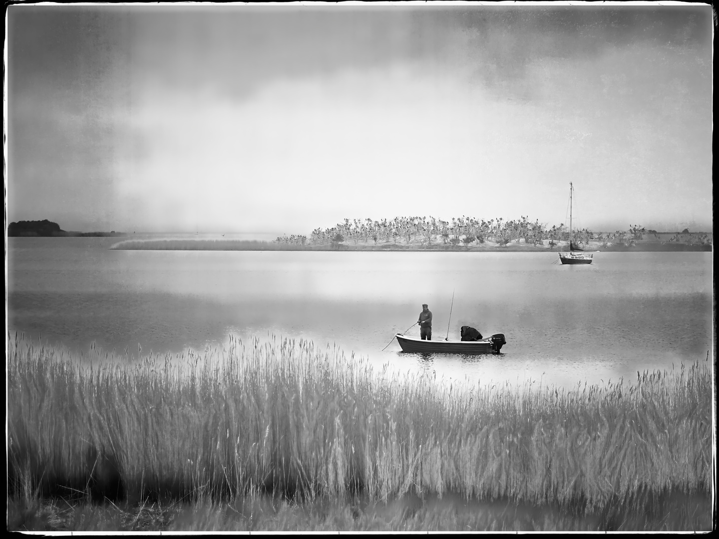 Ausdauernd Foto & Bild | world, spezial, ostsee Bilder auf fotocommunity