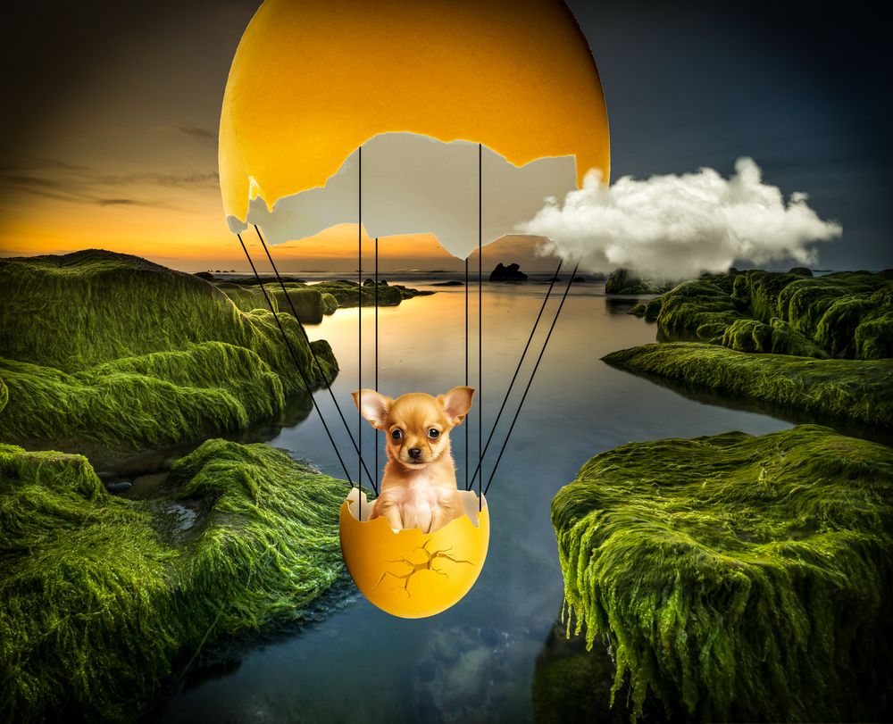 Ausflug Foto & Bild | fotomontage, fantasy mystery, fun-montagen Bilder auf fotocommunity