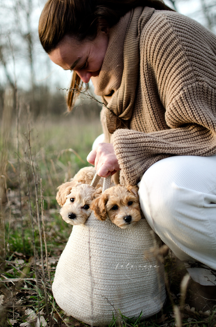 Ausflug zu viert Foto & Bild | tiere, tierkinder, hunde Bilder auf ...