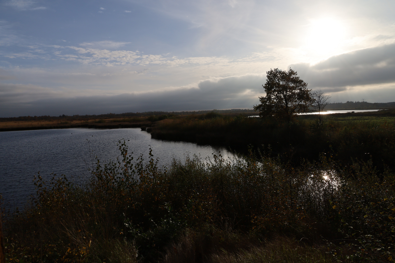 Ausguck "Das Wilde Moor" Foto & Bild | landschaft, jahreszeiten, herbst ...