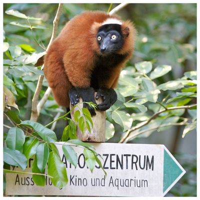 Marc Petzold - Fotos & Bilder - Fotograf aus Rotkreuz, Schweiz ...