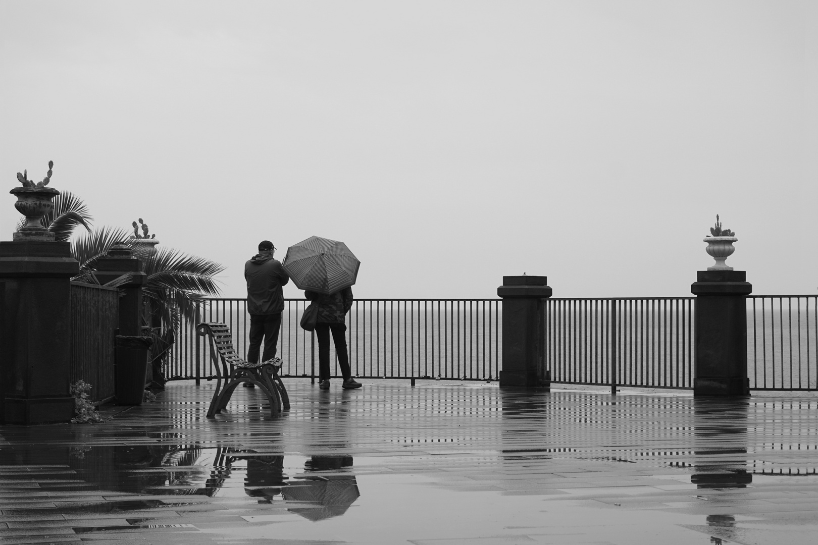 Aussicht mit Schirm Foto & Bild | erwachsene menschen, streetfotografie mit menschen, paare ...