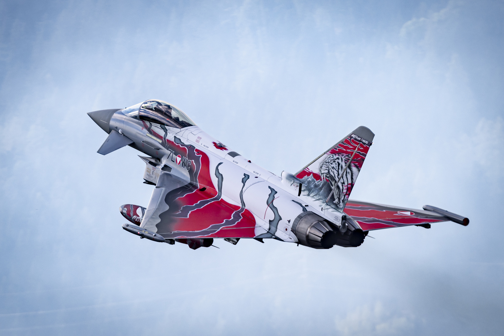 "Austrian Tigers" Foto & Bild | urlaub, österreich, flugzeug Bilder auf ...