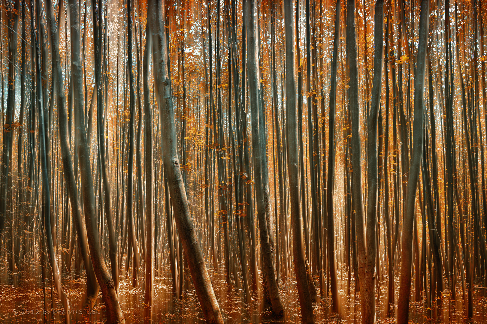 autumnus Foto & Bild | abstraktes, strukturen, natur Bilder auf ...