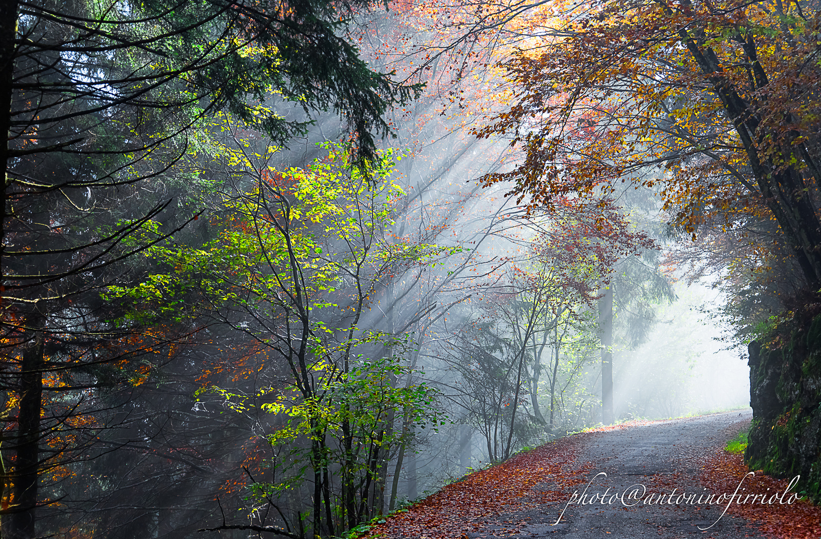 autunno..... Foto % Immagini| paesaggi, fotohome, ... Foto su fotocommunity