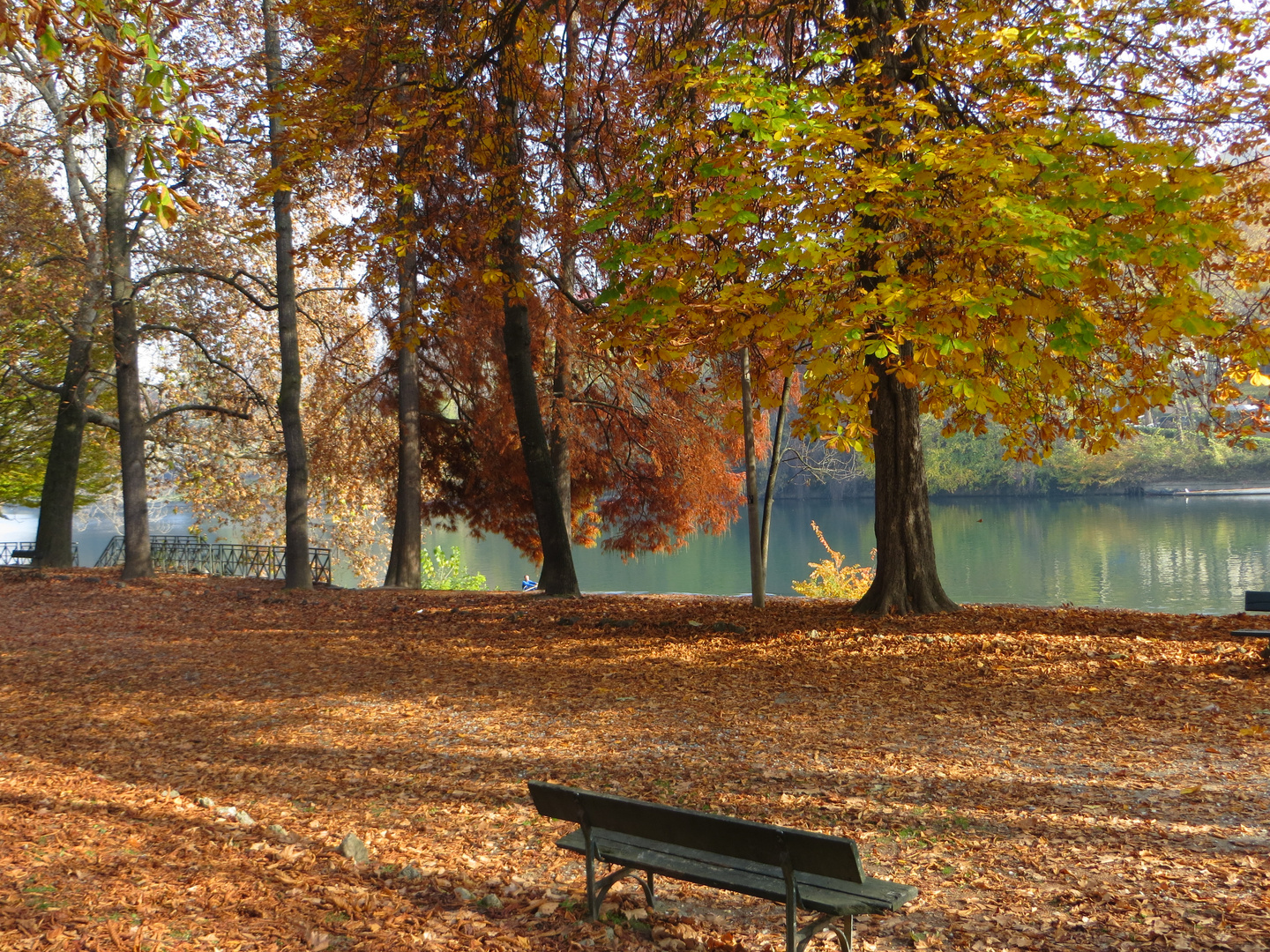 Autunno Foto % Immagini| le stagioni dell'anno, temi Foto su fotocommunity