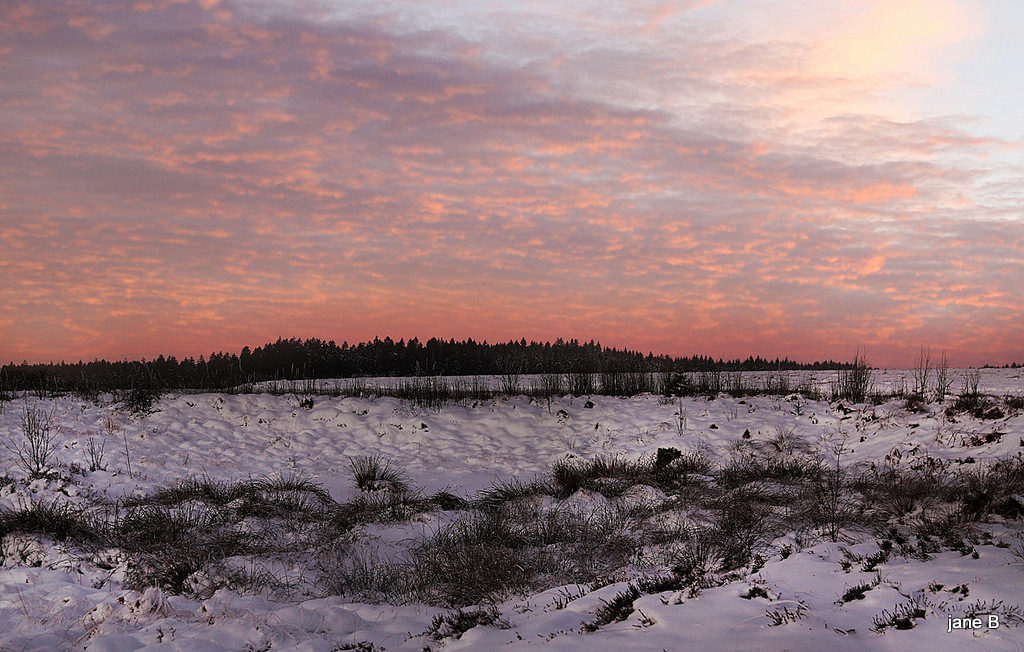 Avant le dégel photo et image | europe, benelux, belgium Images ...