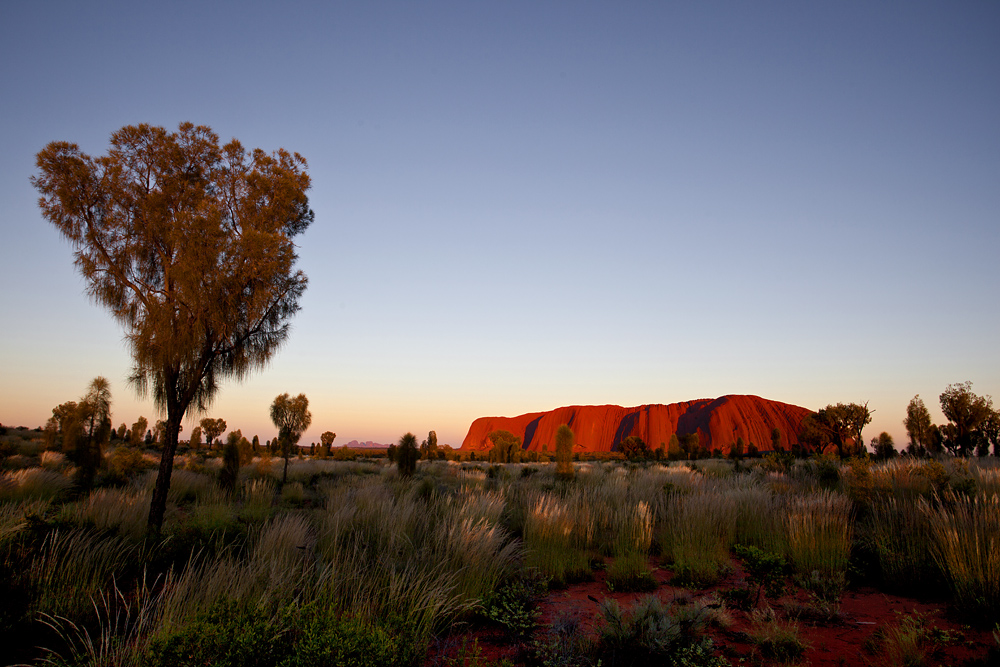 Ayers Rock (Uluru) Foto & Bild | archiv projekte naturchannel ...