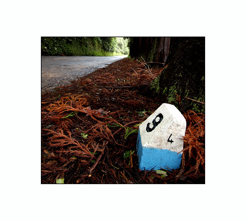 Azoren - Terceira - Straßen10 Foto & Bild | europe, portugal, açores ...