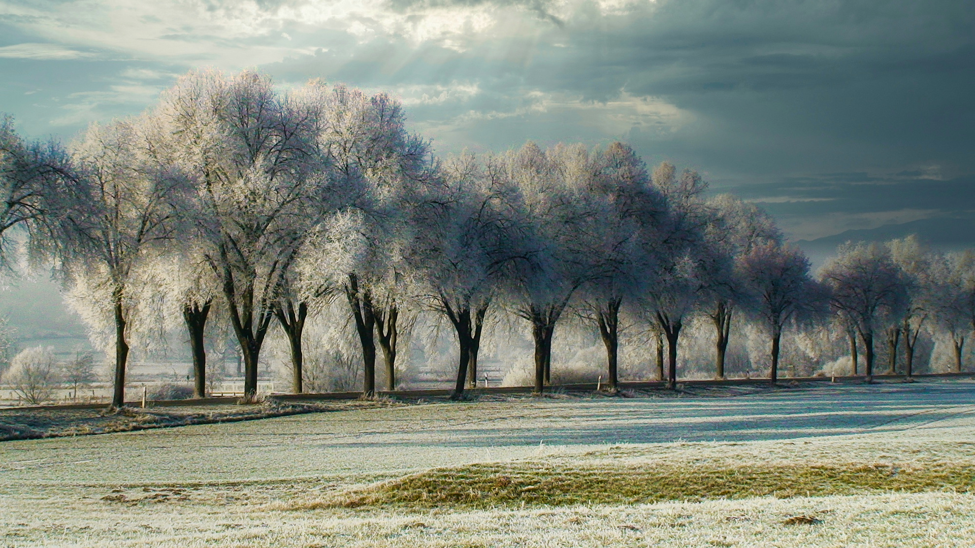 B254 Foto & Bild | world, bäume, winter Bilder auf fotocommunity