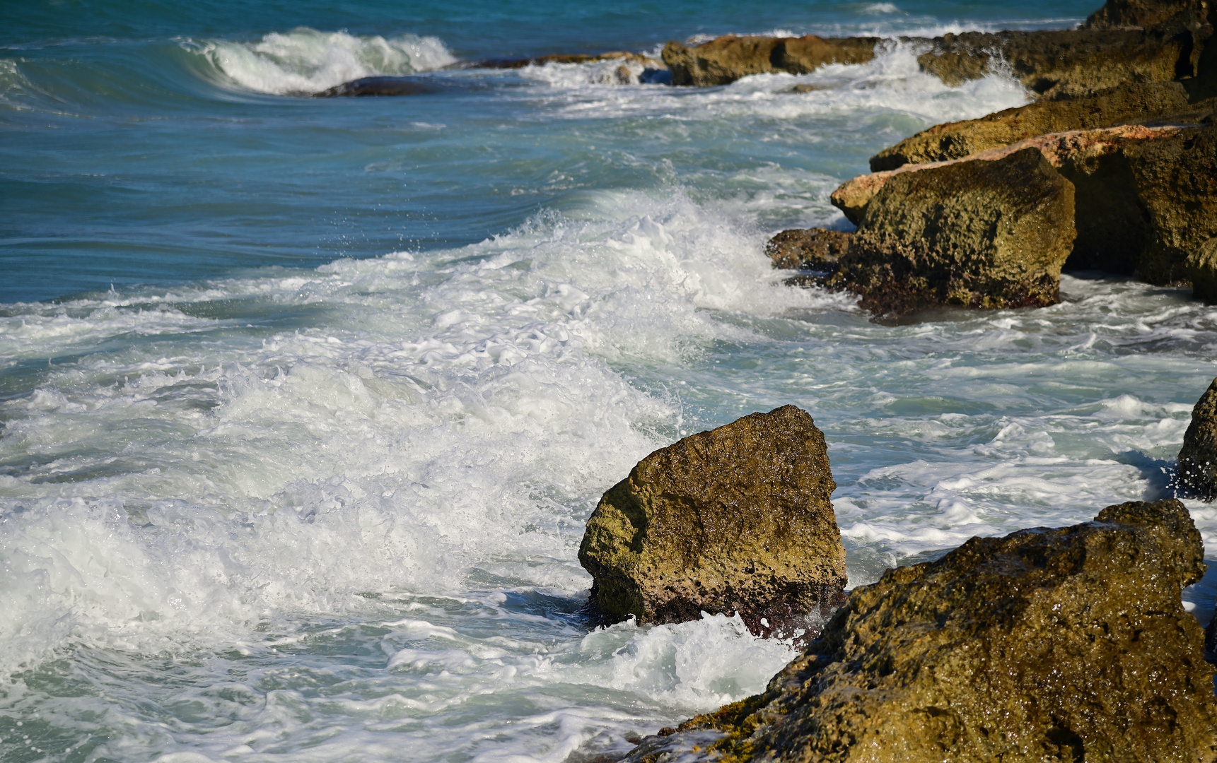 Baaaa - Wusch... Foto & Bild | italy, world, natur Bilder auf fotocommunity