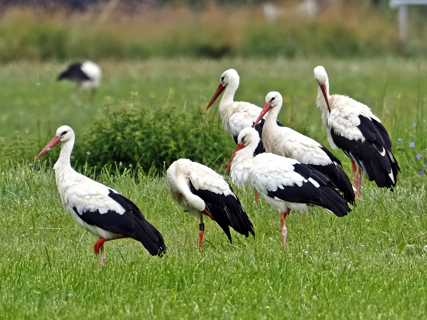 Baby Boom ?!? Foto & Bild | Bilder auf fotocommunity