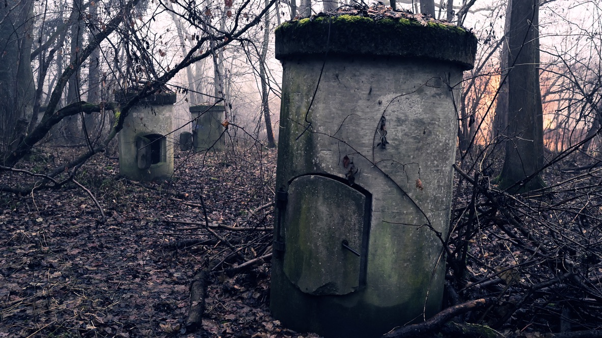 baby bunker Foto & Bild | spezial, wald, outdoor Bilder auf fotocommunity