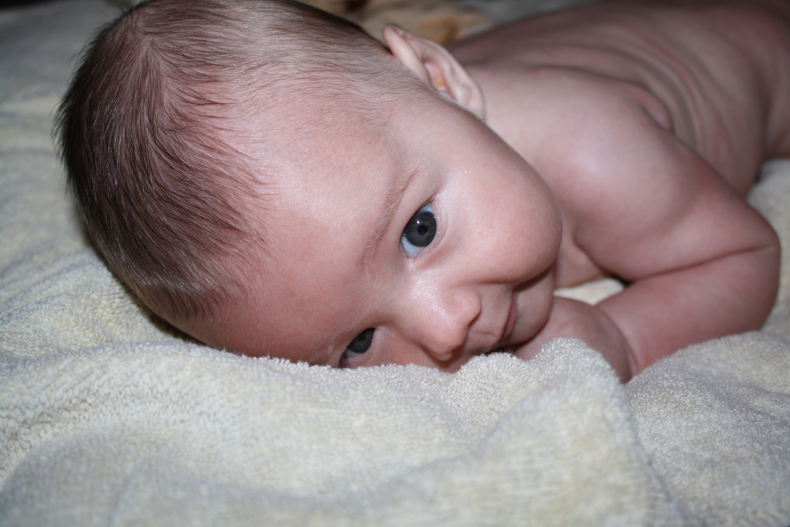 Baby Foto & Bild | kinder, babies, menschen Bilder auf fotocommunity