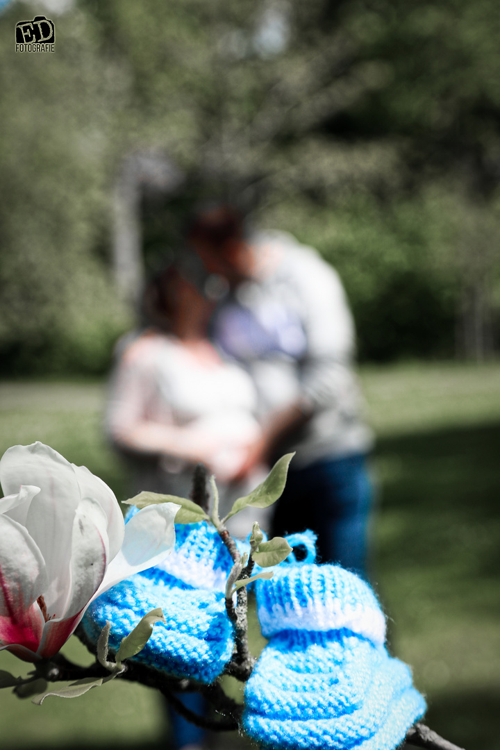 Babybauch Fotoshooting mit Steffi N. 2 Foto & Bild | erwachsene ...