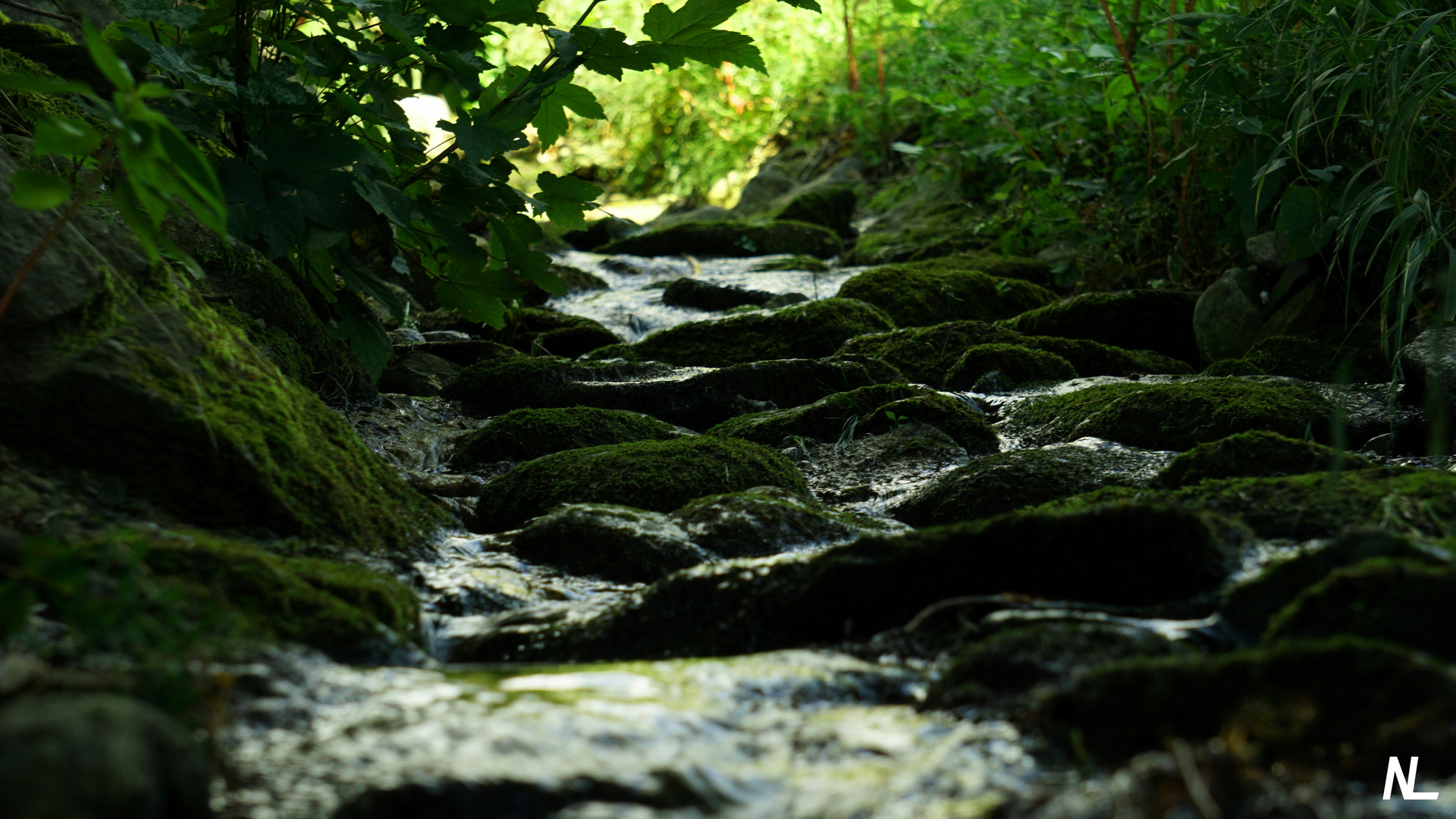 Bach Foto & Bild | landschaft, bach, fluss & see, bachläufe Bilder auf ...