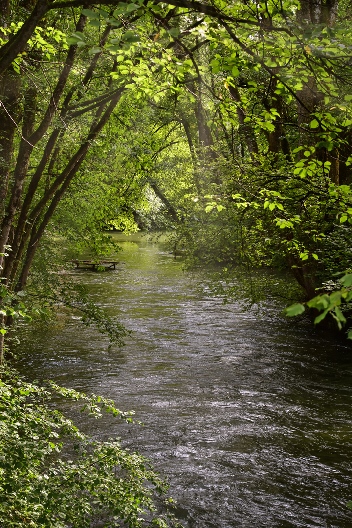 Bach Foto & Bild | landschaft, jahreszeiten, die elemente Bilder auf ...