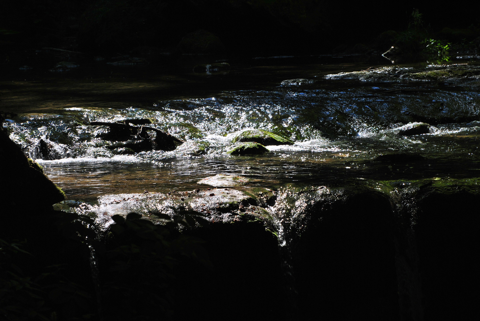 Bach im Wald. Foto & Bild | landschaft, bach, fluss & see, bachläufe ...