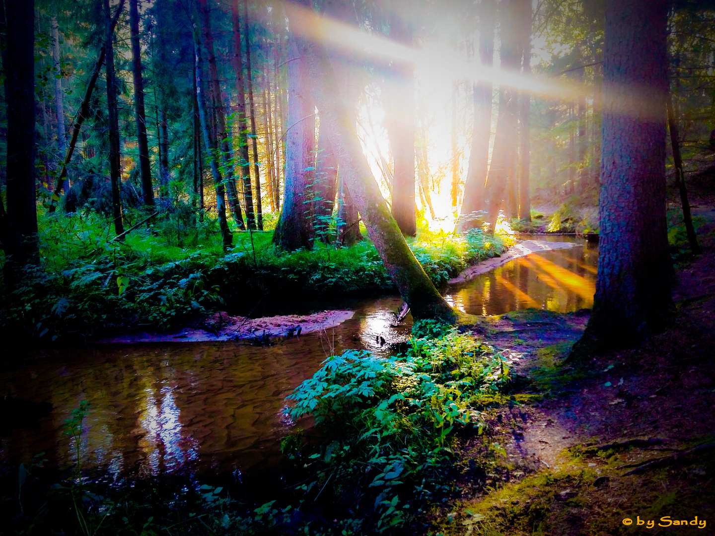 Bach im Wald Foto & Bild | landschaft, bach, fluss & see, bachläufe Bilder auf fotocommunity