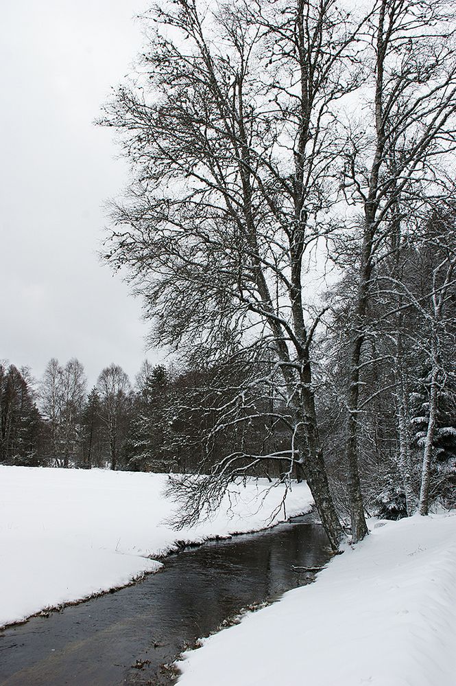 Bach im Winter Foto & Bild | landschaft, jahreszeiten, winter Bilder auf fotocommunity