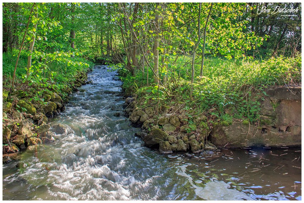 Bach und viel Grün Foto & Bild | landschaft, bach, fluss & see ...