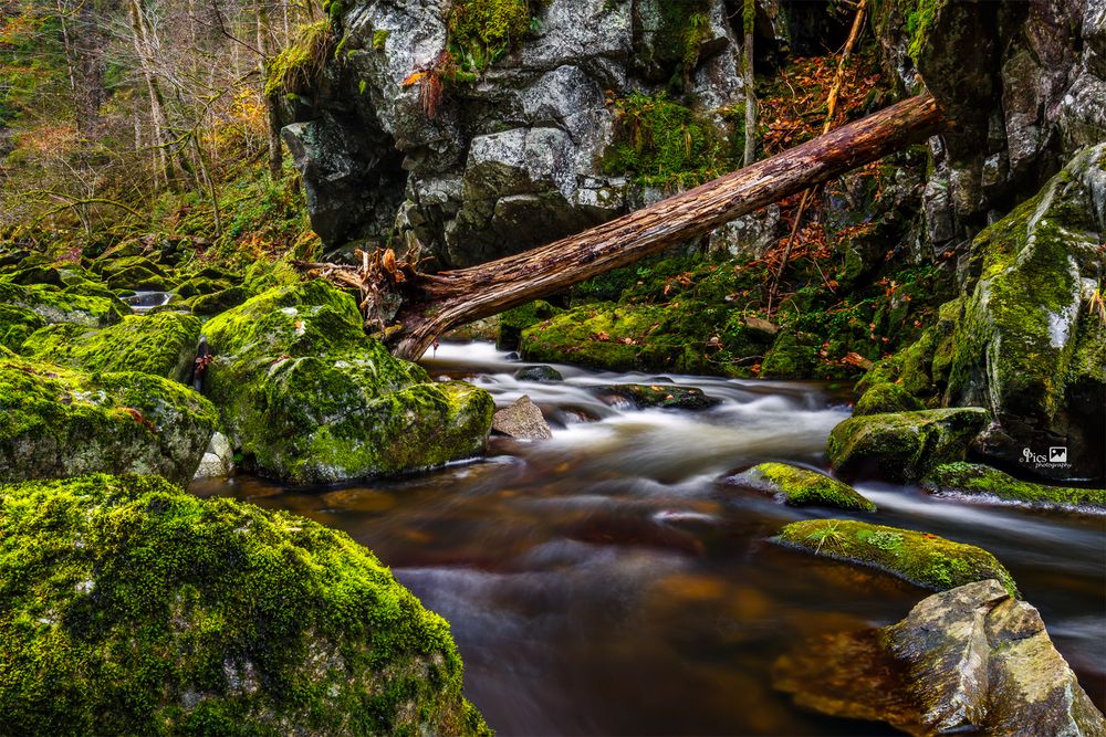 Bach406 Foto & Bild | landschaft, bach, fluss & see, bachläufe Bilder ...