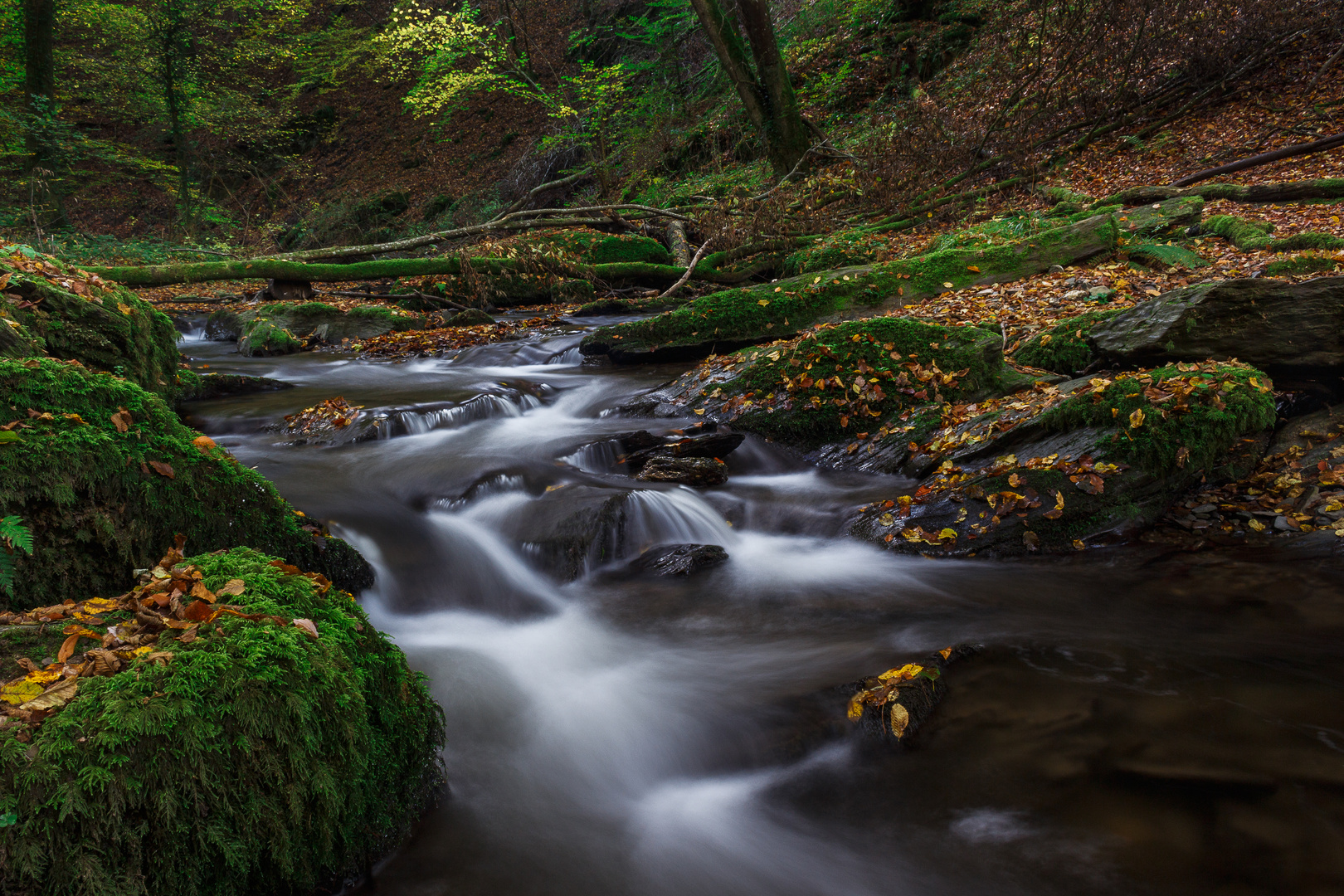 Bachlauf Foto & Bild | landschaft, bach, fluss & see, natur-kreativ Bilder auf fotocommunity