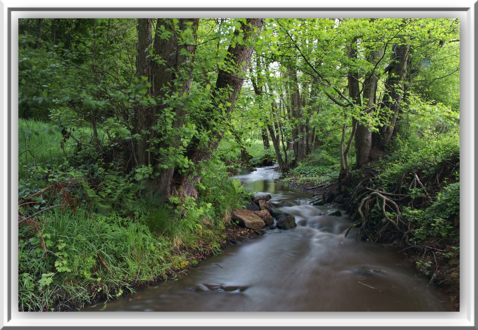Bachlauf Foto & Bild | landschaft, bach, fluss & see, bachläufe Bilder auf fotocommunity