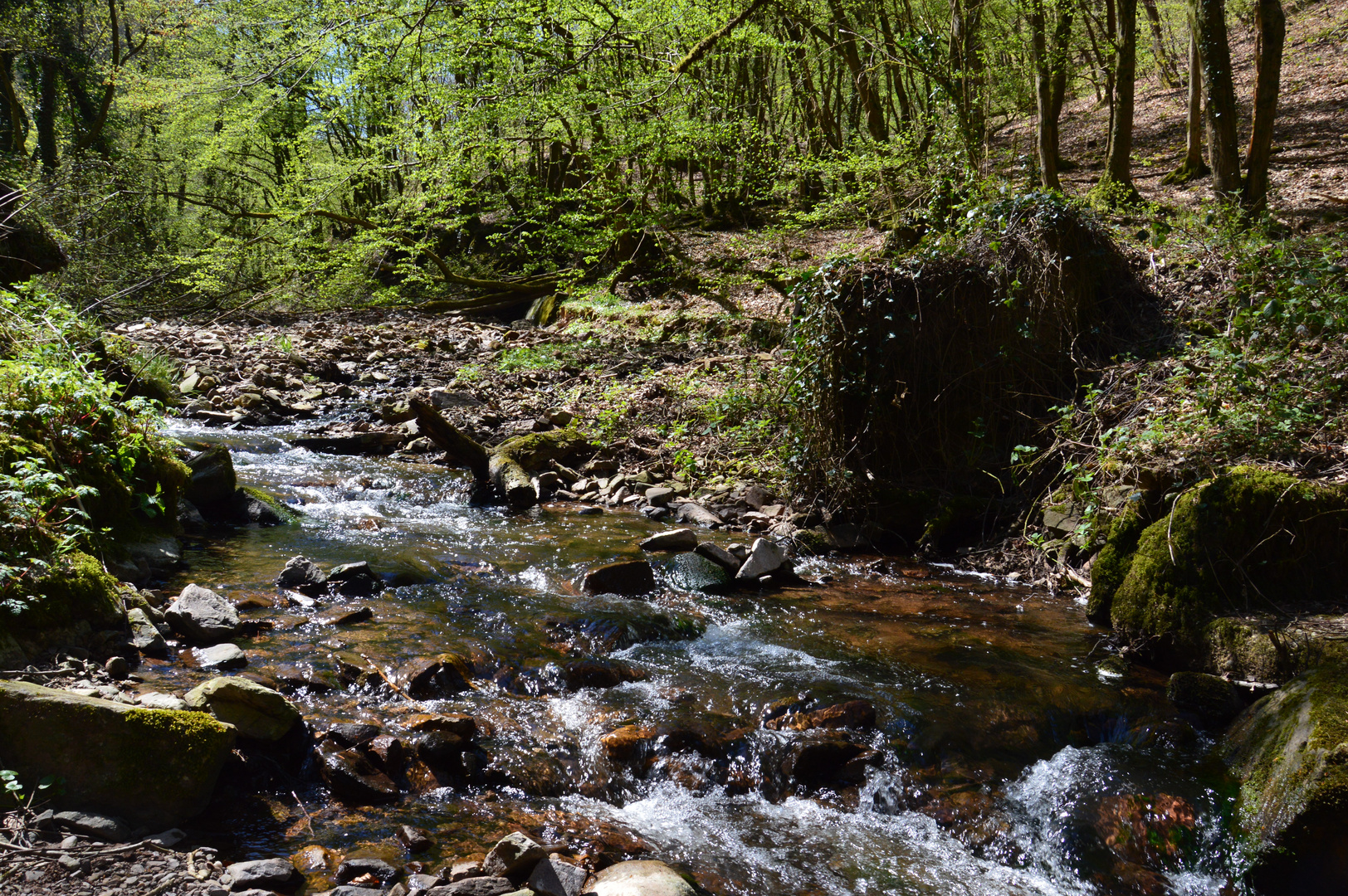 Bachlauf Foto & Bild | wasser, natur, landschaft Bilder auf fotocommunity