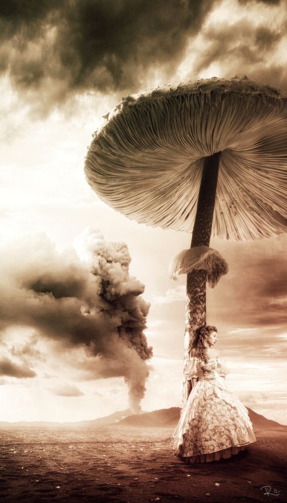 Back to Wonderland Foto & Bild | fotomontage, composing , surreal Bilder auf fotocommunity