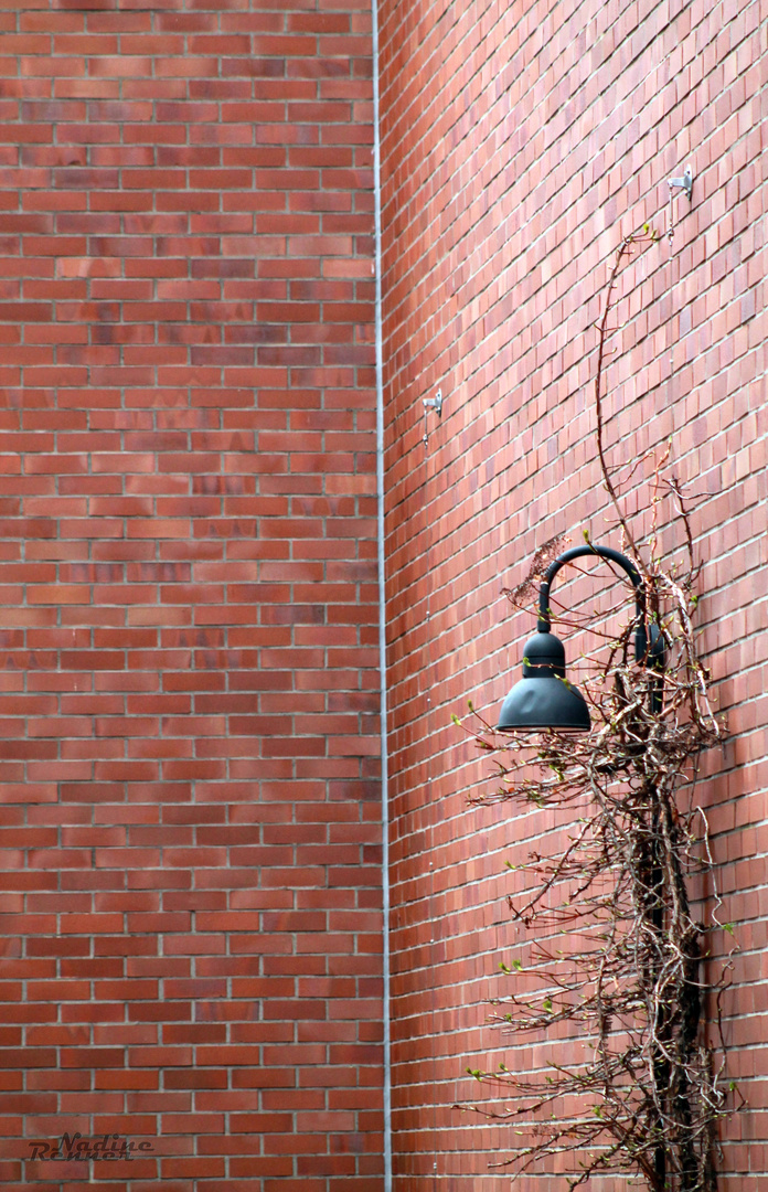 Backstein. Foto & Bild | motive Bilder auf fotocommunity