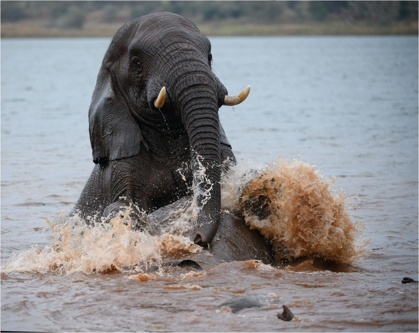 Bad und mehr..... Foto & Bild | africa, southern africa, south africa ...