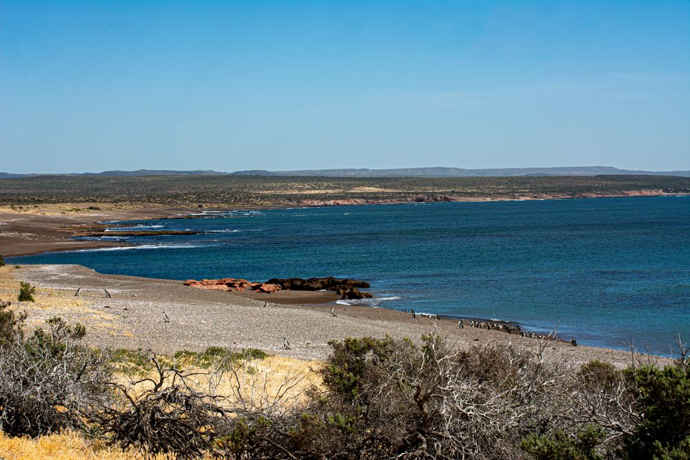 Bade"meister" am Strand Foto & Bild | south america, landschaft, meer ...