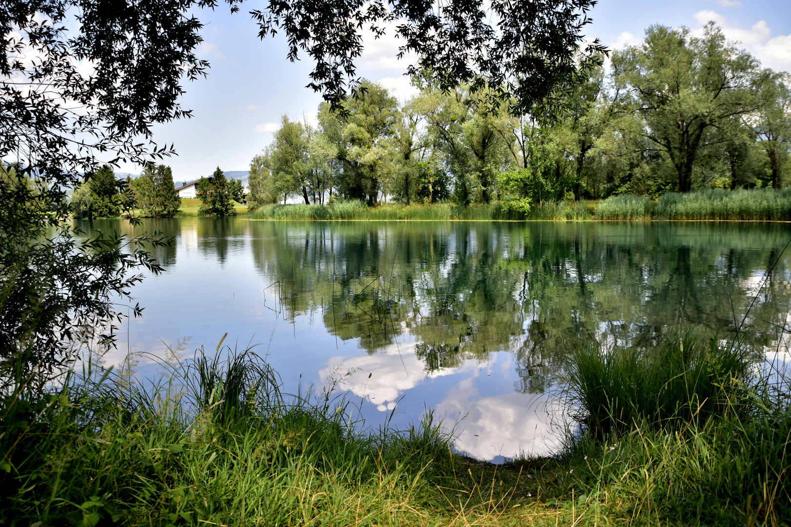 Badesee Foto & Bild | jahreszeiten, sommer, wasser Bilder auf fotocommunity