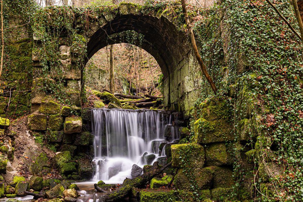 Bärengarten Burg Hohenstein Sächsische Schweiz Foto & Bild ...