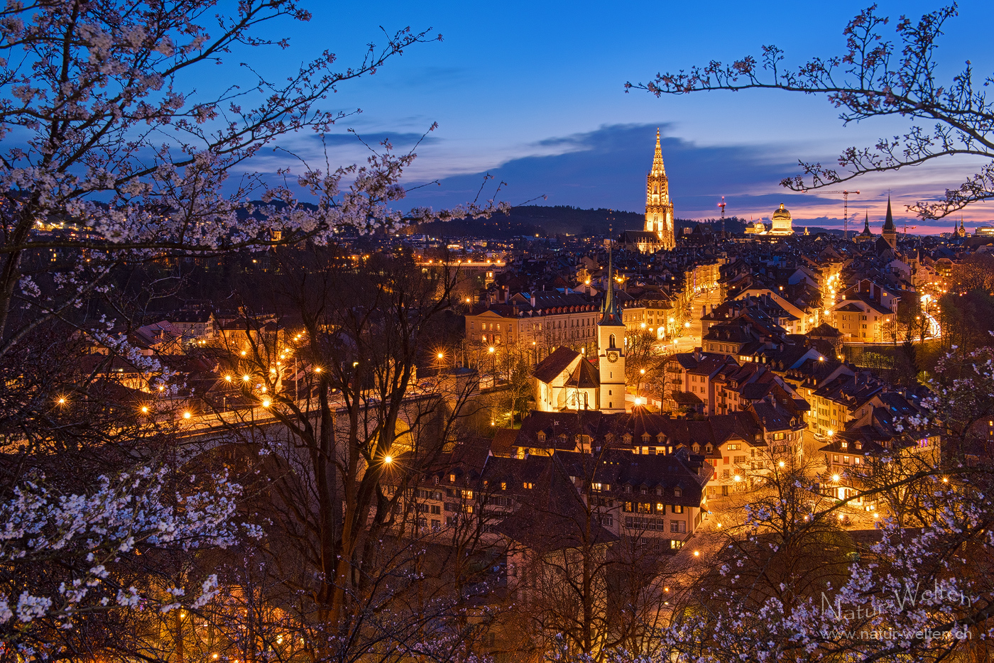 Bärn ig ha Di gärn... Foto & Bild | world, frühling, abendstimmung ...
