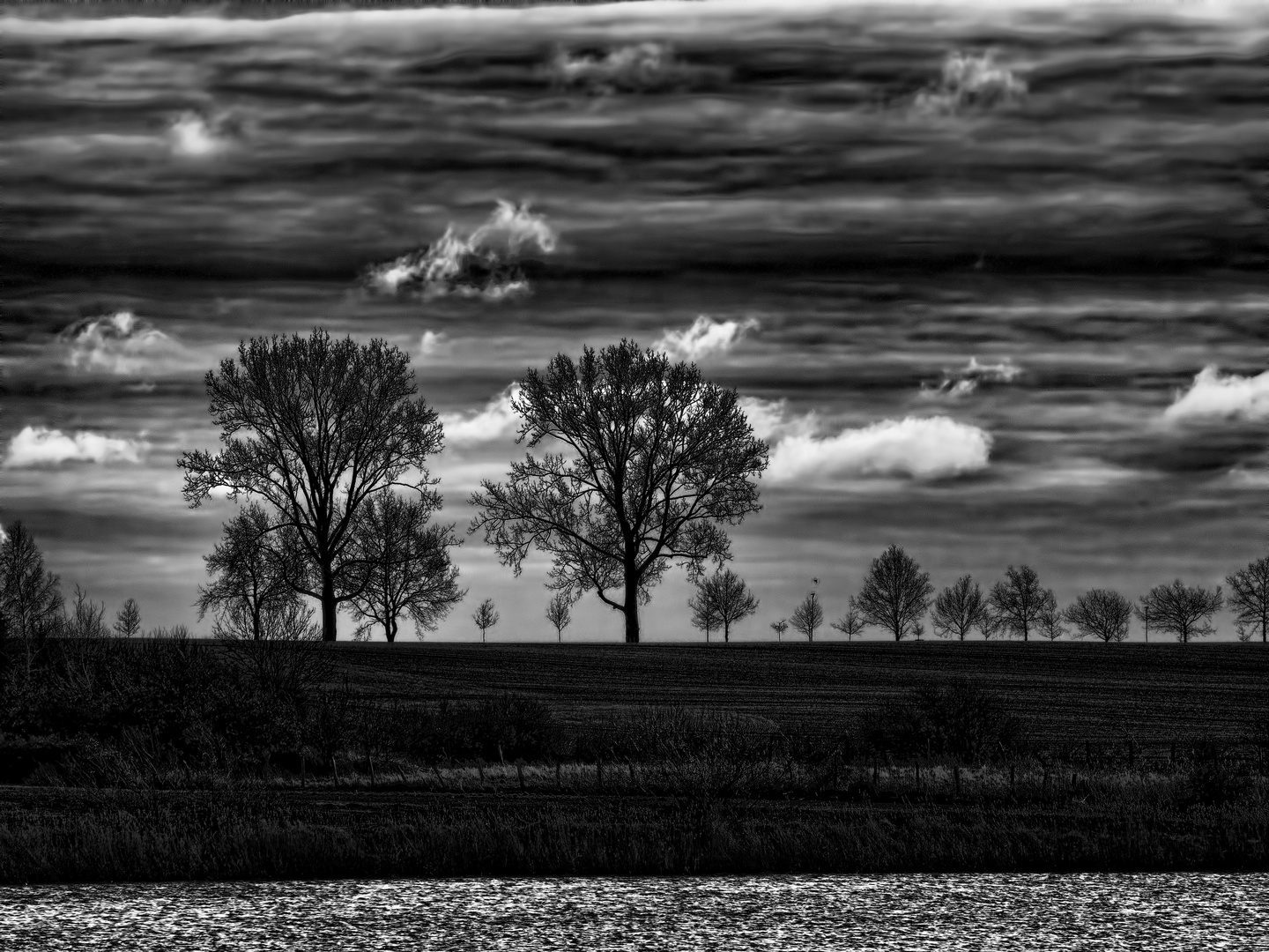bäume . Foto & Bild | fotokunst, monochrome fine art, mecklenburg ...