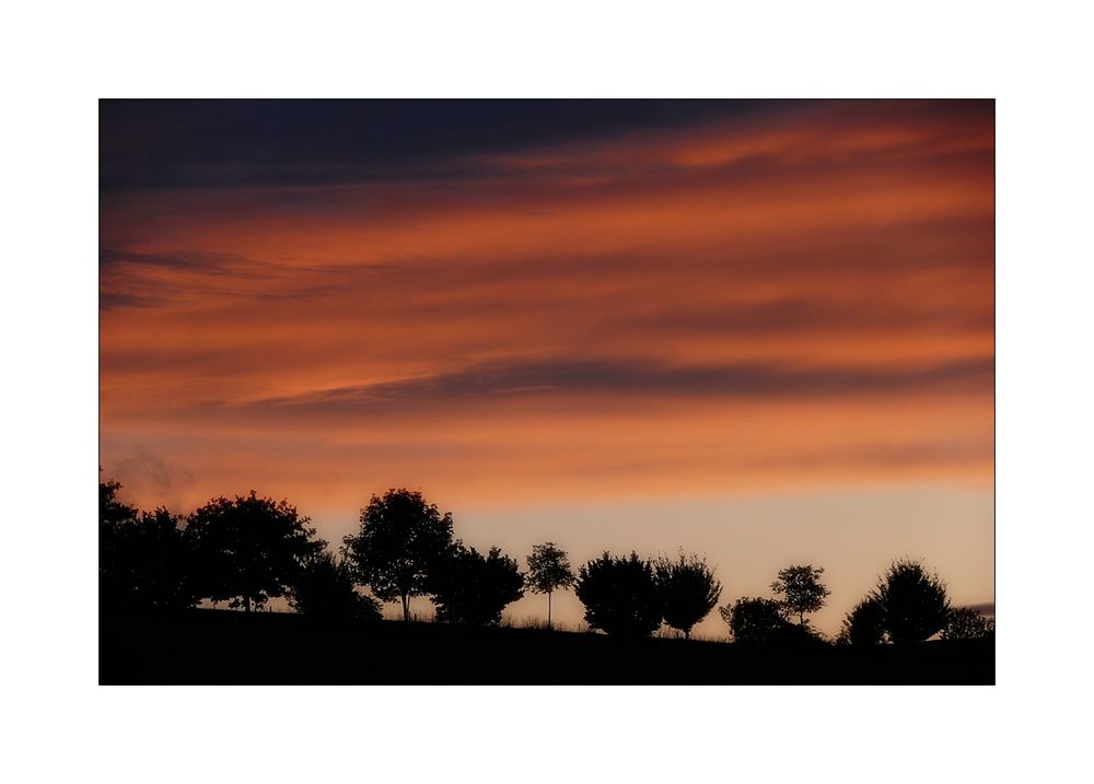 Bäume Foto & Bild | landschaft, natur Bilder auf fotocommunity