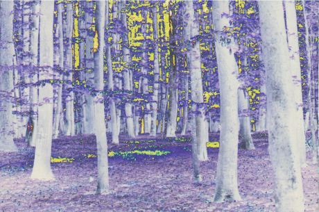 Michael Emmert - Fotos & Bilder - Fotograf aus Bad Neustadt ...