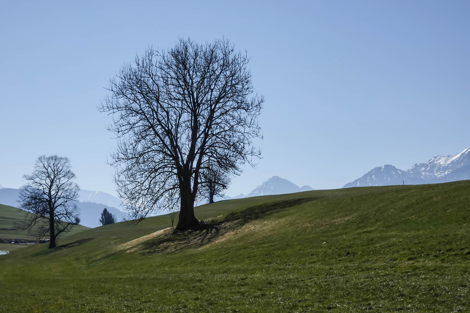 Bäume Foto & Bild | bäume, frühling, natur Bilder auf fotocommunity