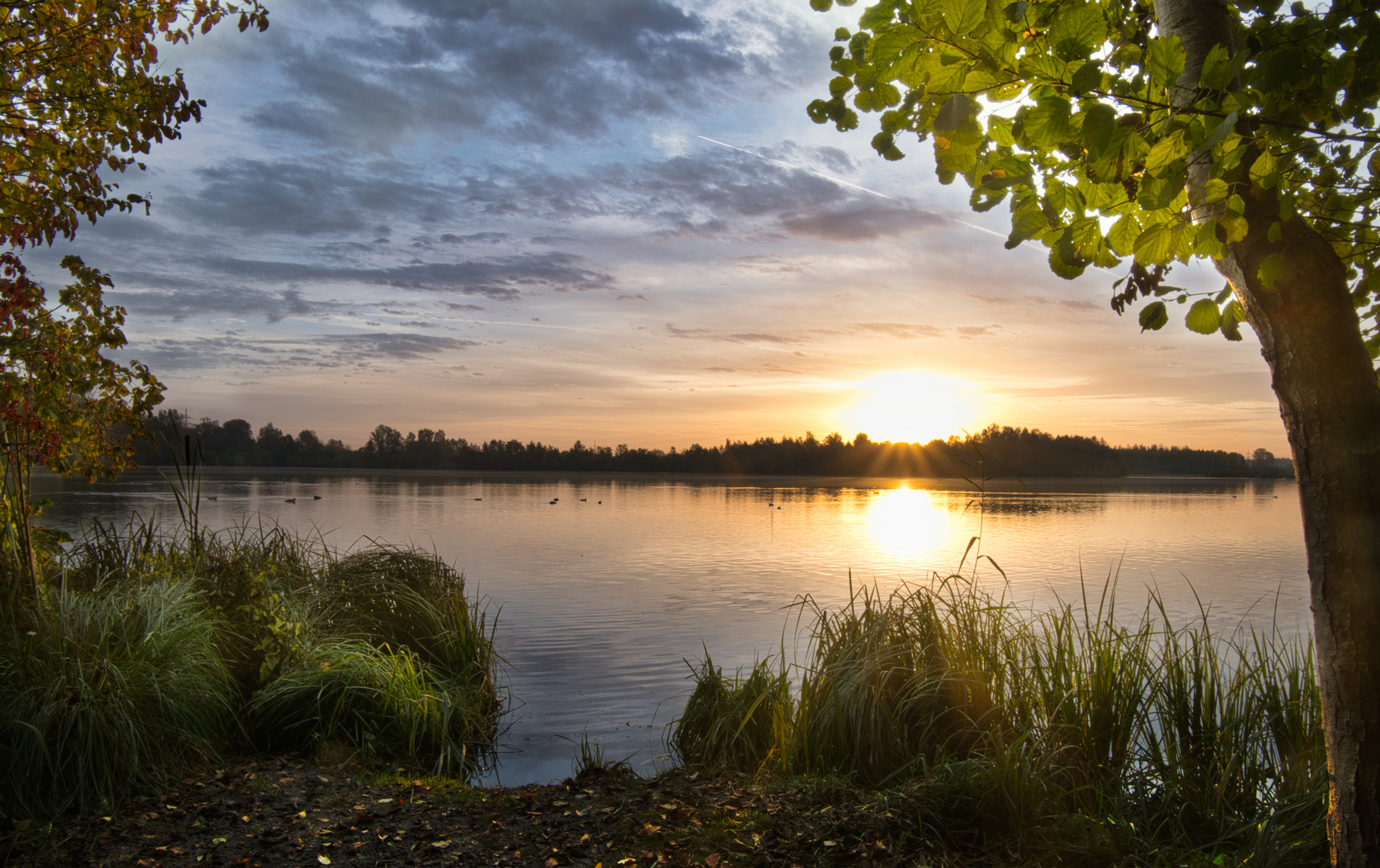 Baggersee Foto & Bild | landschaft, bach, fluss & see, sonnenaufgang ...