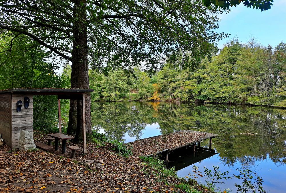 Baggersee am Main 03 Foto & Bild | deutschland, europe, bayern Bilder ...