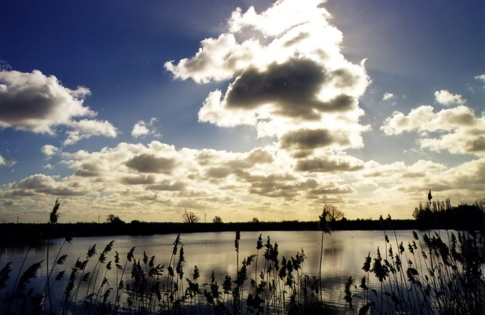 Baggersee Foto & Bild | landschaft, bach, fluss & see, natur Bilder auf ...