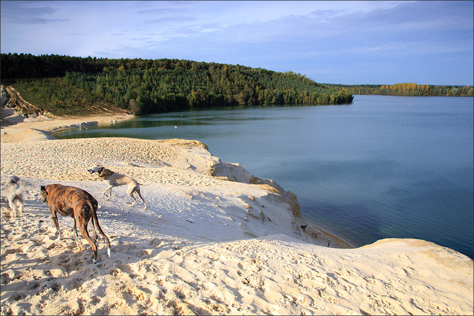 Baggersee Foto & Bild | natur, landschaft, rückkehr der natur Bilder ...