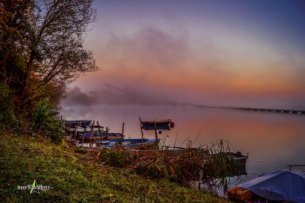 Baggersee Karlsdorf im Morgennebel Foto & Bild | landschaft, bach ...