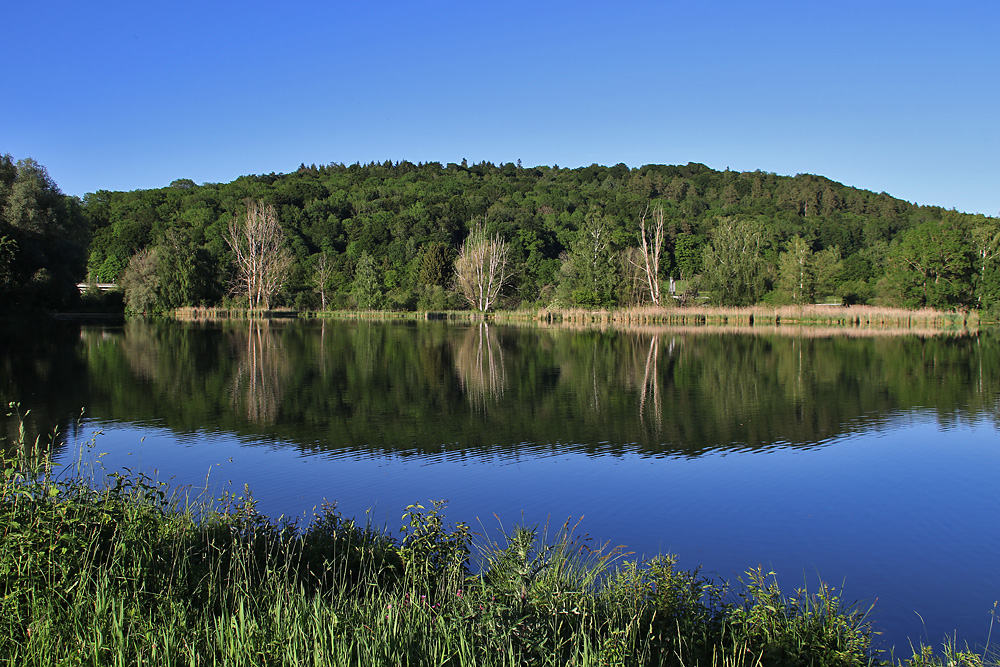 Baggersee mit Spiegelung Foto & Bild | landschaft, projekte, bach ...