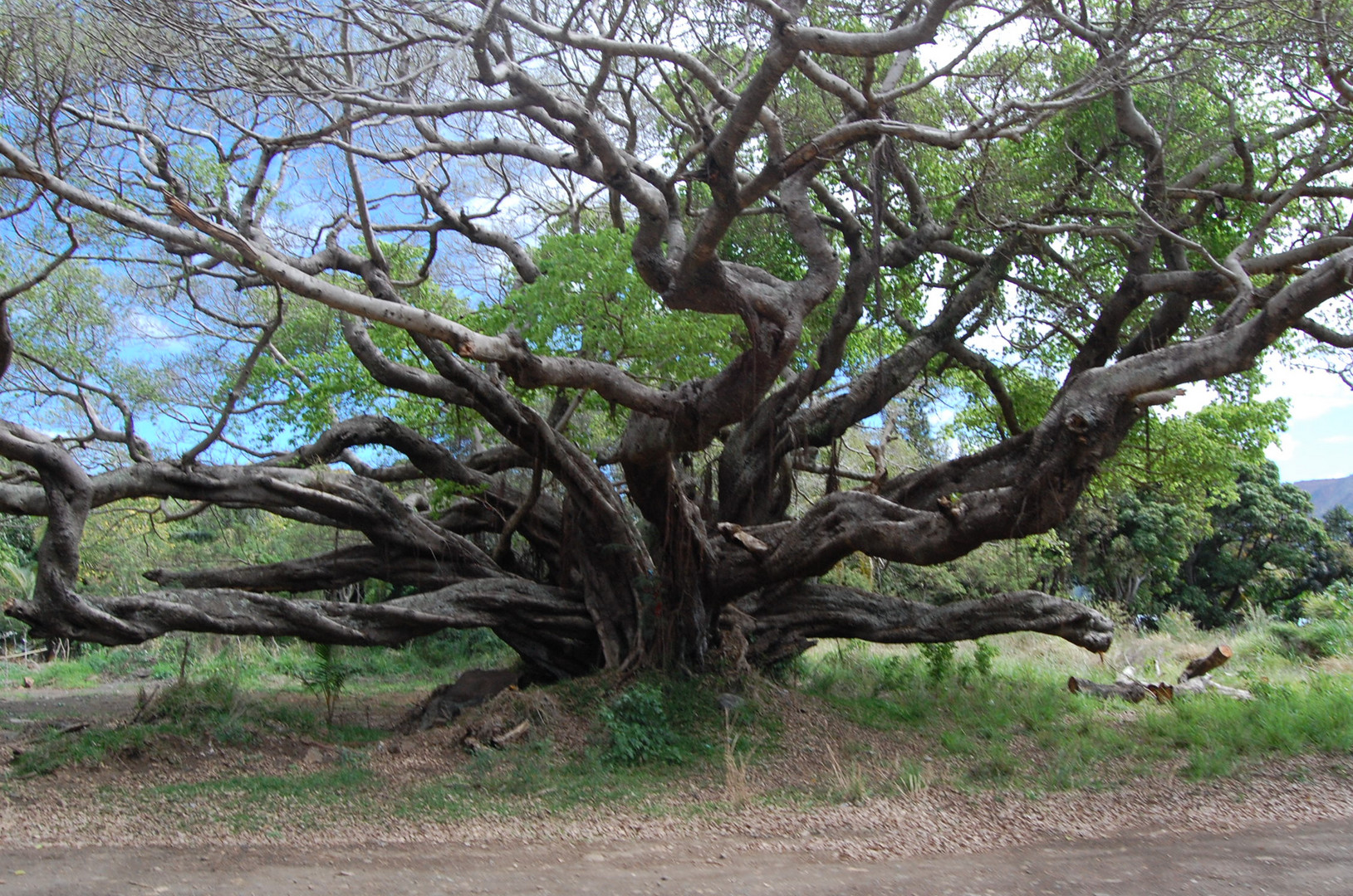 Bagnan photo et image | arbres, nature Images fotocommunity