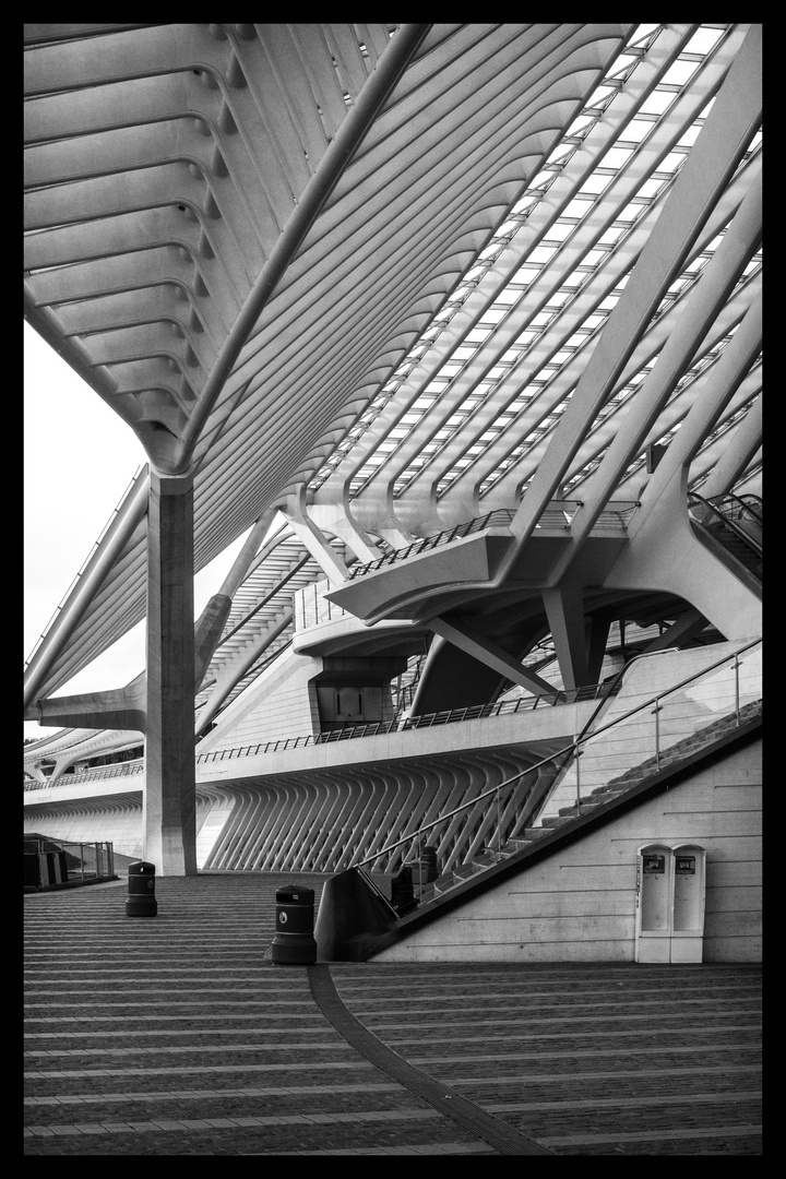 Bahnhof Liège-Guillemins 3 Foto & Bild | architektur, bahnhöfe & gleise, profanbauten Bilder auf ...