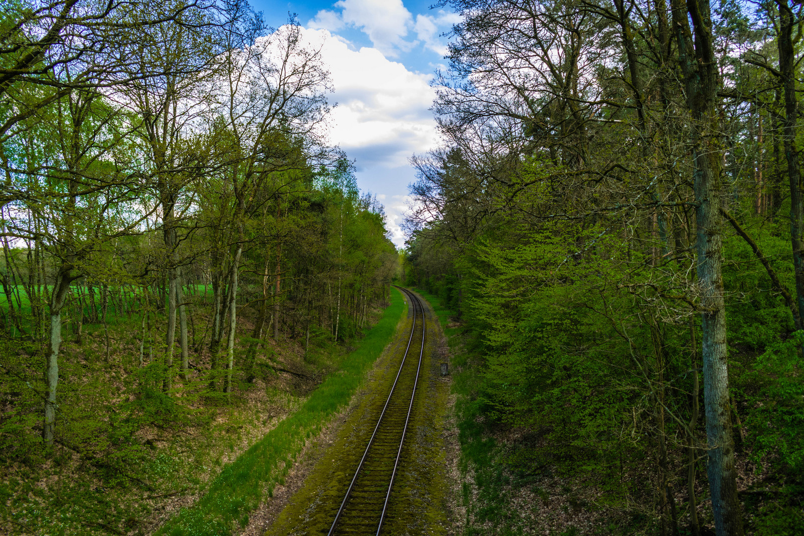 Bahnstrecke Lüneburg–Dannenberg Foto & Bild | sonstiges, natur und ...